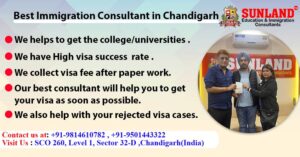 Immigration Consultant In Chandigarh